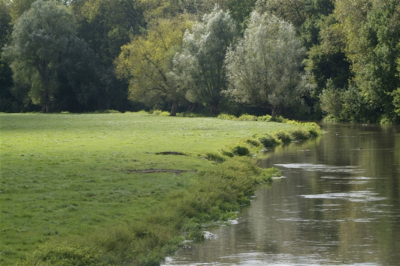 Programma 3 Water en bodem | Bestuursrapportage I 2025 | noord-brabant